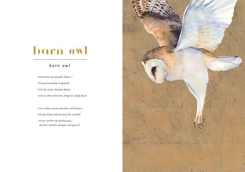 The Lost Words: Spell Songs by Robert MacFarlane and Jackie Morris ...