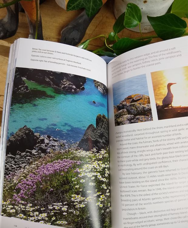 St Davids Peninsula Pocket Book - Jacki Sime. Solva Woollen Mill