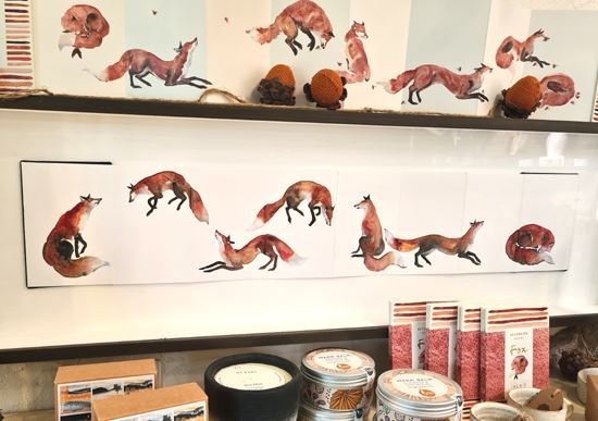 The Fox Accordian Book Jackie Morris. Solva Woollen Mill