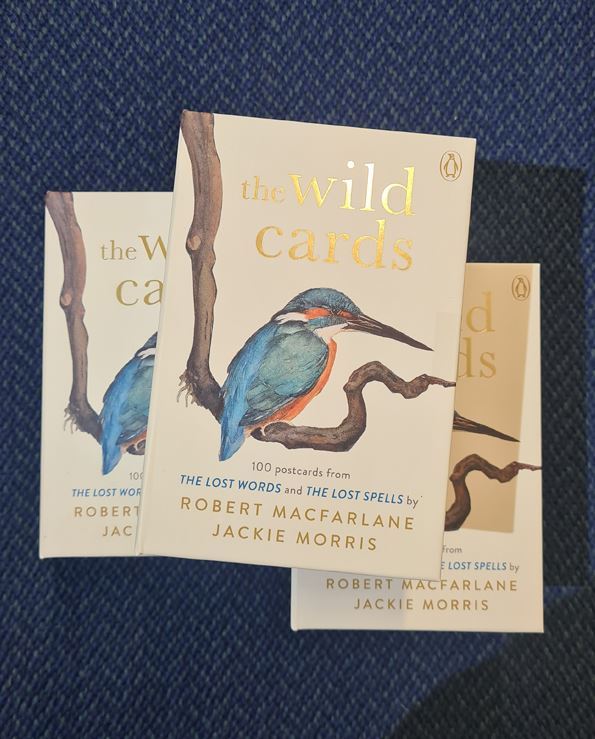 The Lost Words Postcards Jackie Morris. Solva Woollen Mill